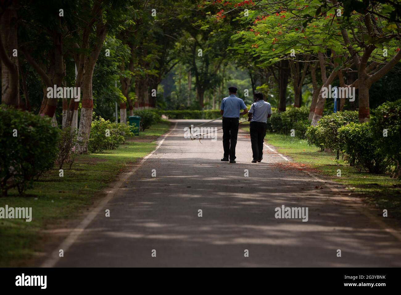 Cobra tail hi-res stock photography and images - Alamy