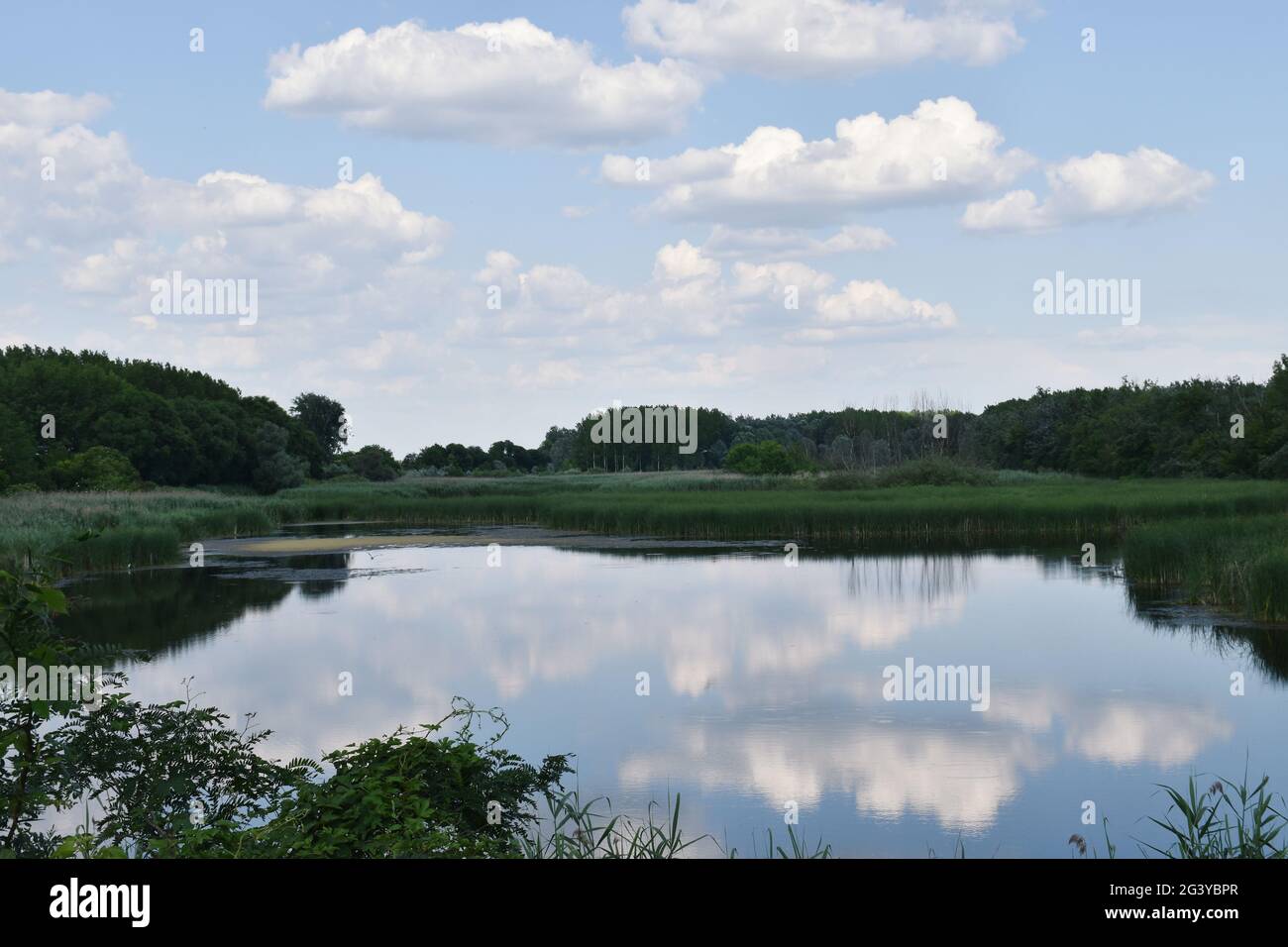 Landscapes, from Serbia, Backa Palanka Stock Photo - Alamy