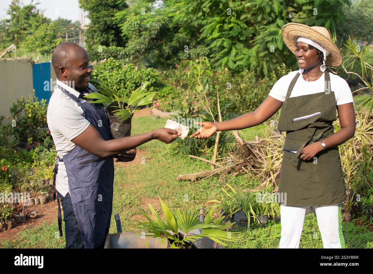 African greenhouse hi-res stock photography and images - Alamy
