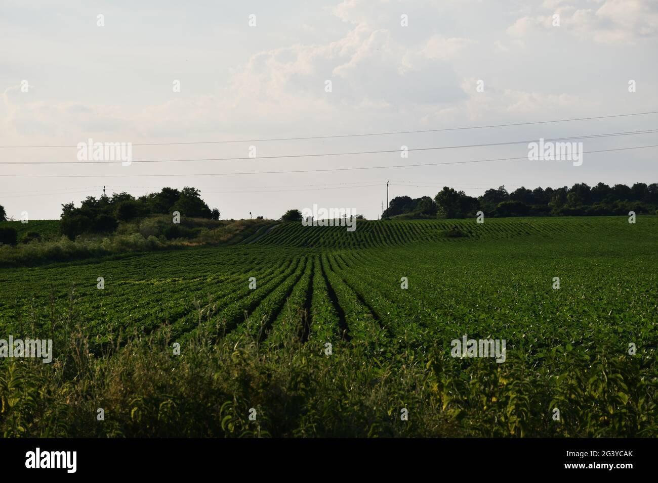 Backa palanka hi-res stock photography and images - Alamy