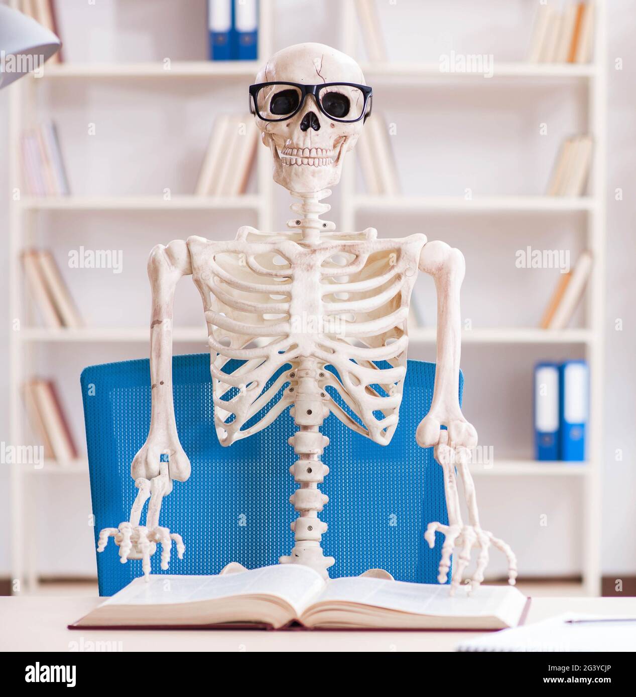 Student skeleton preparing for exams Stock Photo - Alamy