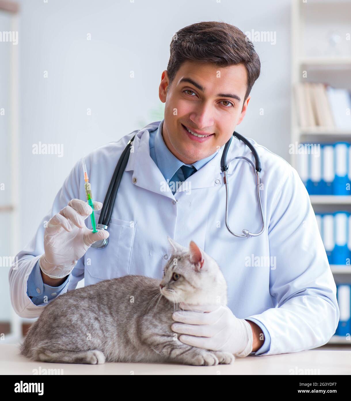 Sick cat at hospital hi-res stock photography and images - Alamy