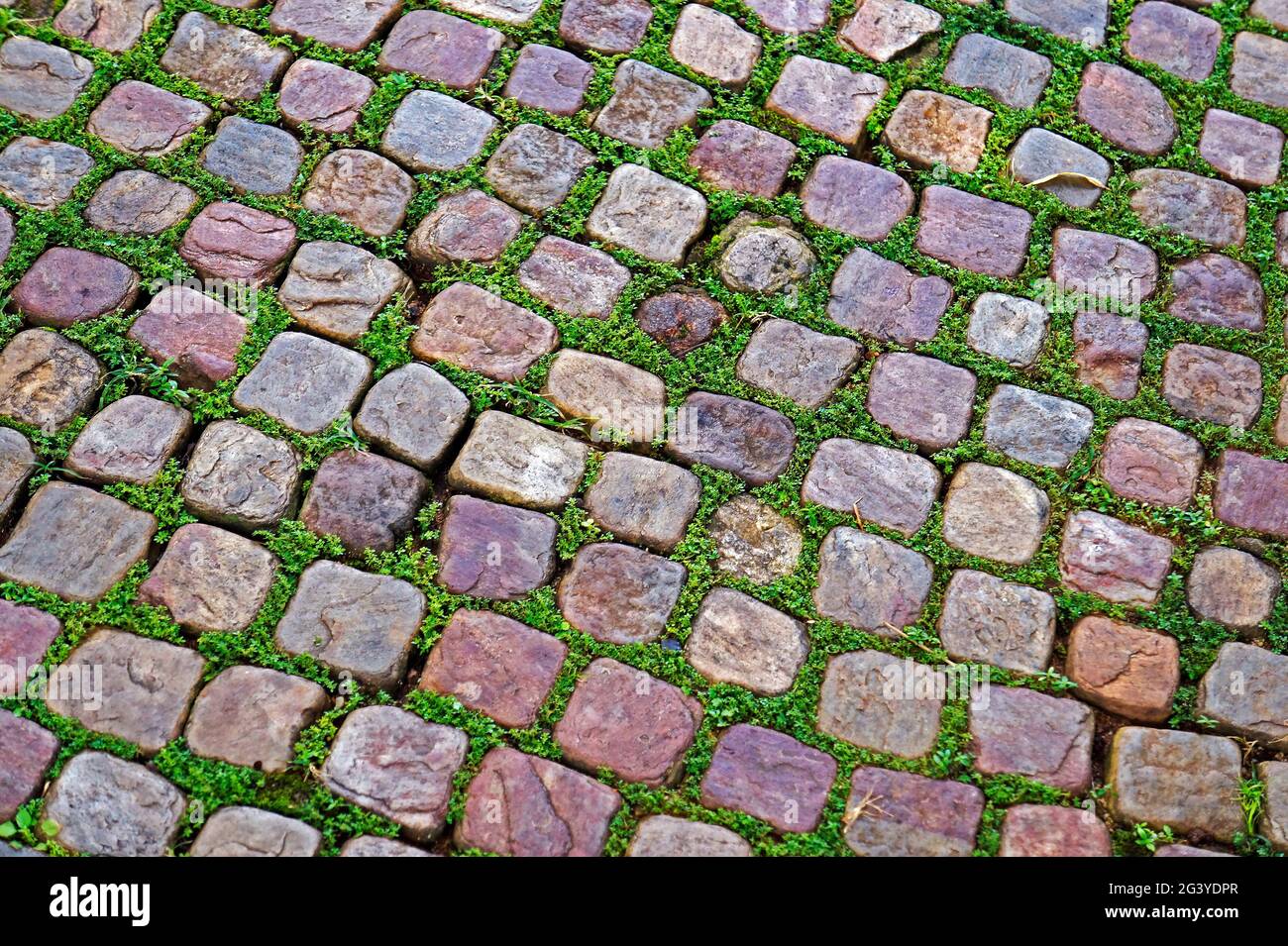 Mossy Cobblestone Wall