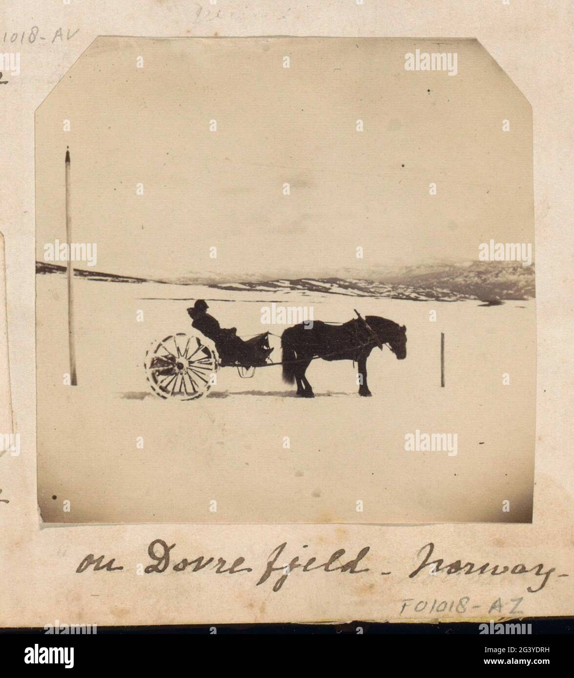 Horse and carriage on the snowy mountain plateau of DoveFjell; On Dovre ...