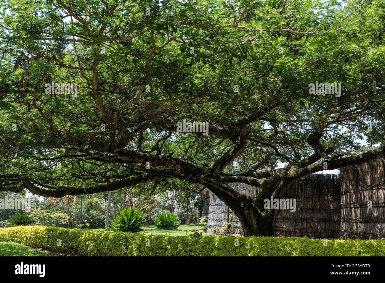 No one has buildings traditional palaces hi-res stock photography and ...