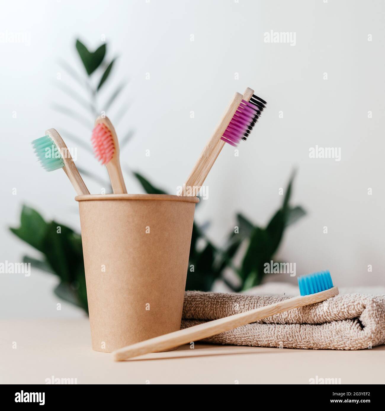 Eco friendly bamboo toothbrushes of different colors in paper cup, zero ...