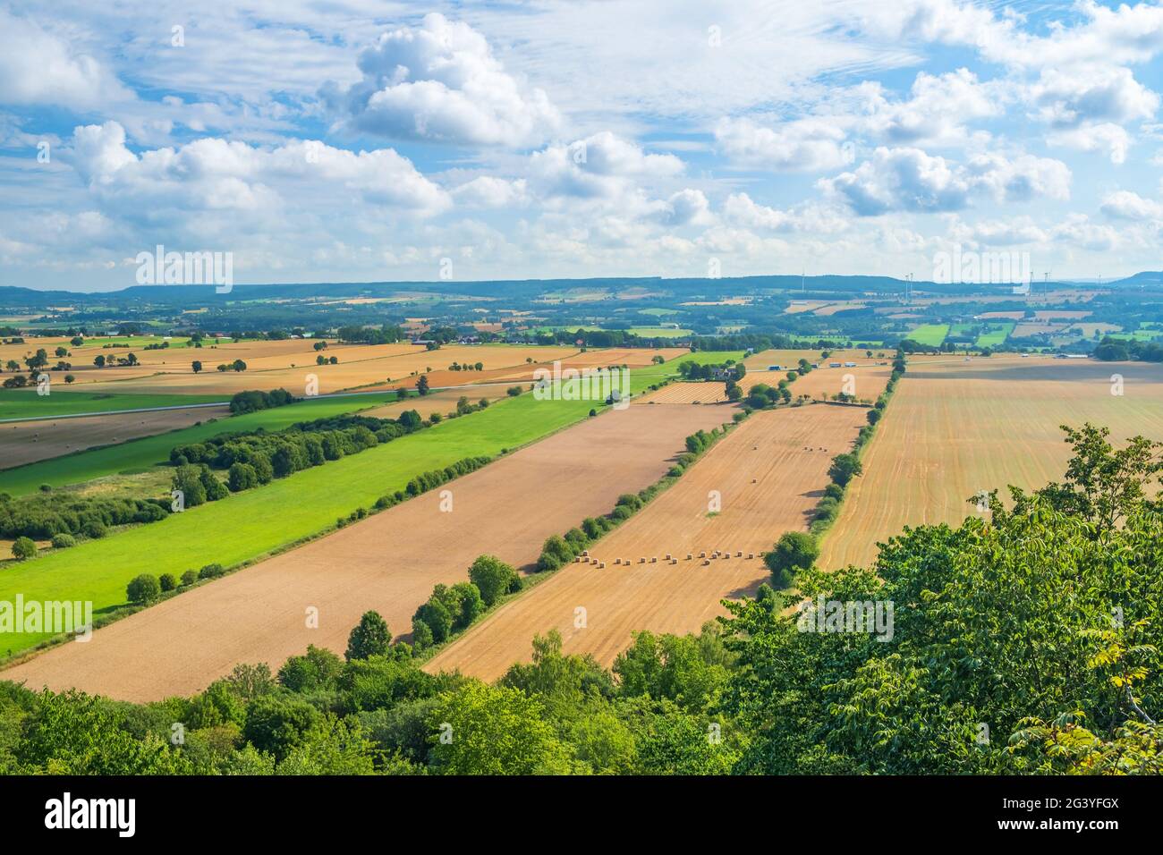 Cultivated landscape view with fields in the summer Stock Photo - Alamy