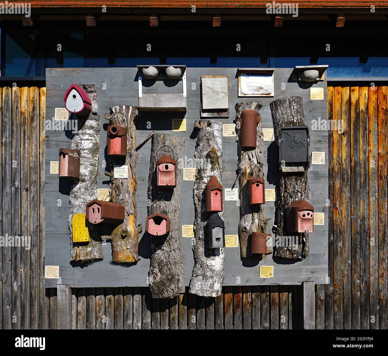 Bird nesting boxes for different species of birds Stock Photo - Alamy