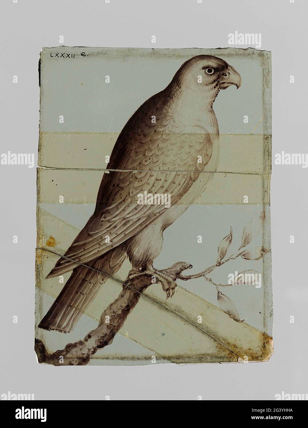Diamond with a hawk. Stained glass diamond with the image of a hawk on ...