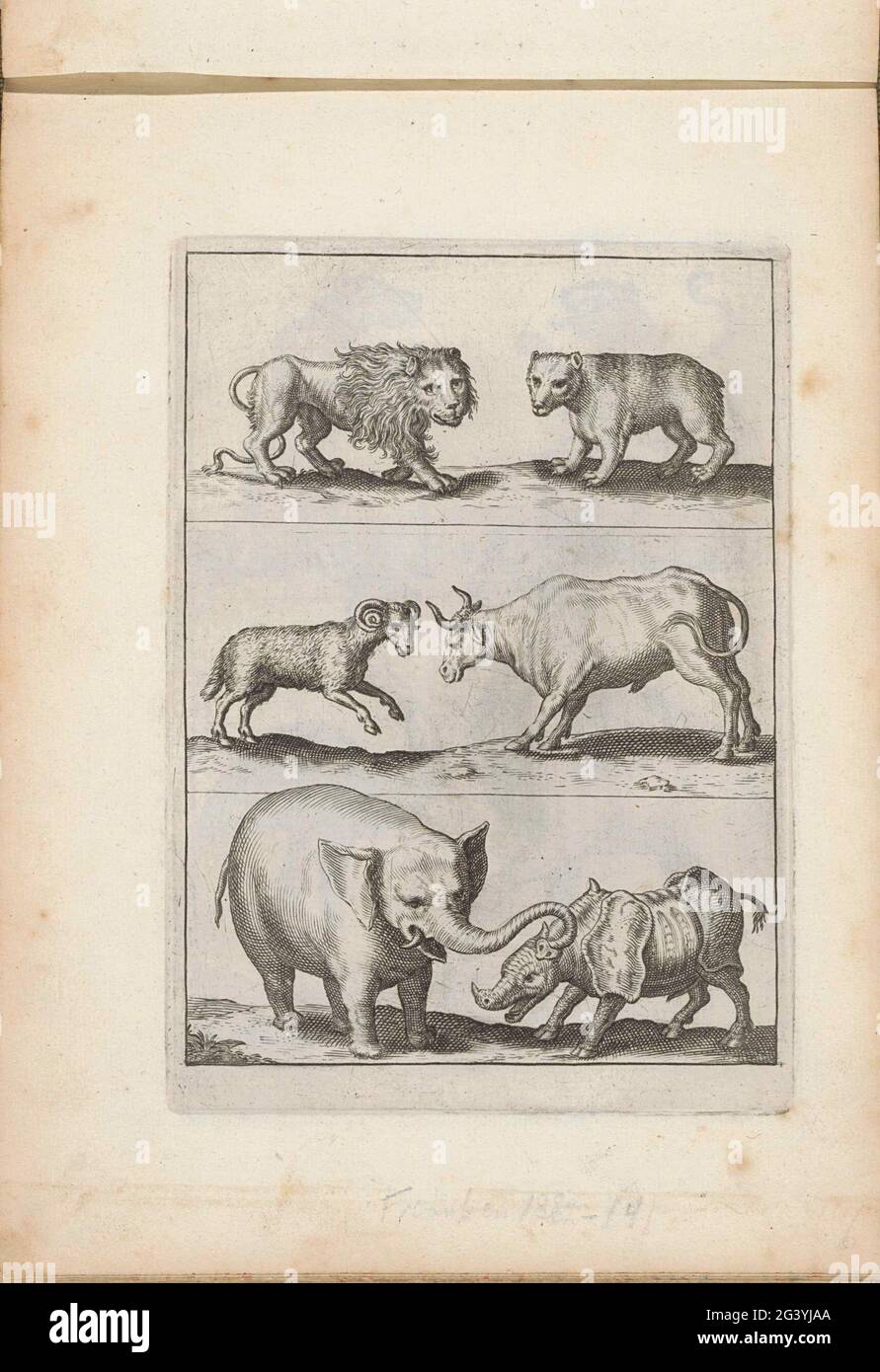 Lion, bear, goat, bull, elephant and rhino; Land animals; Bestiarum ...