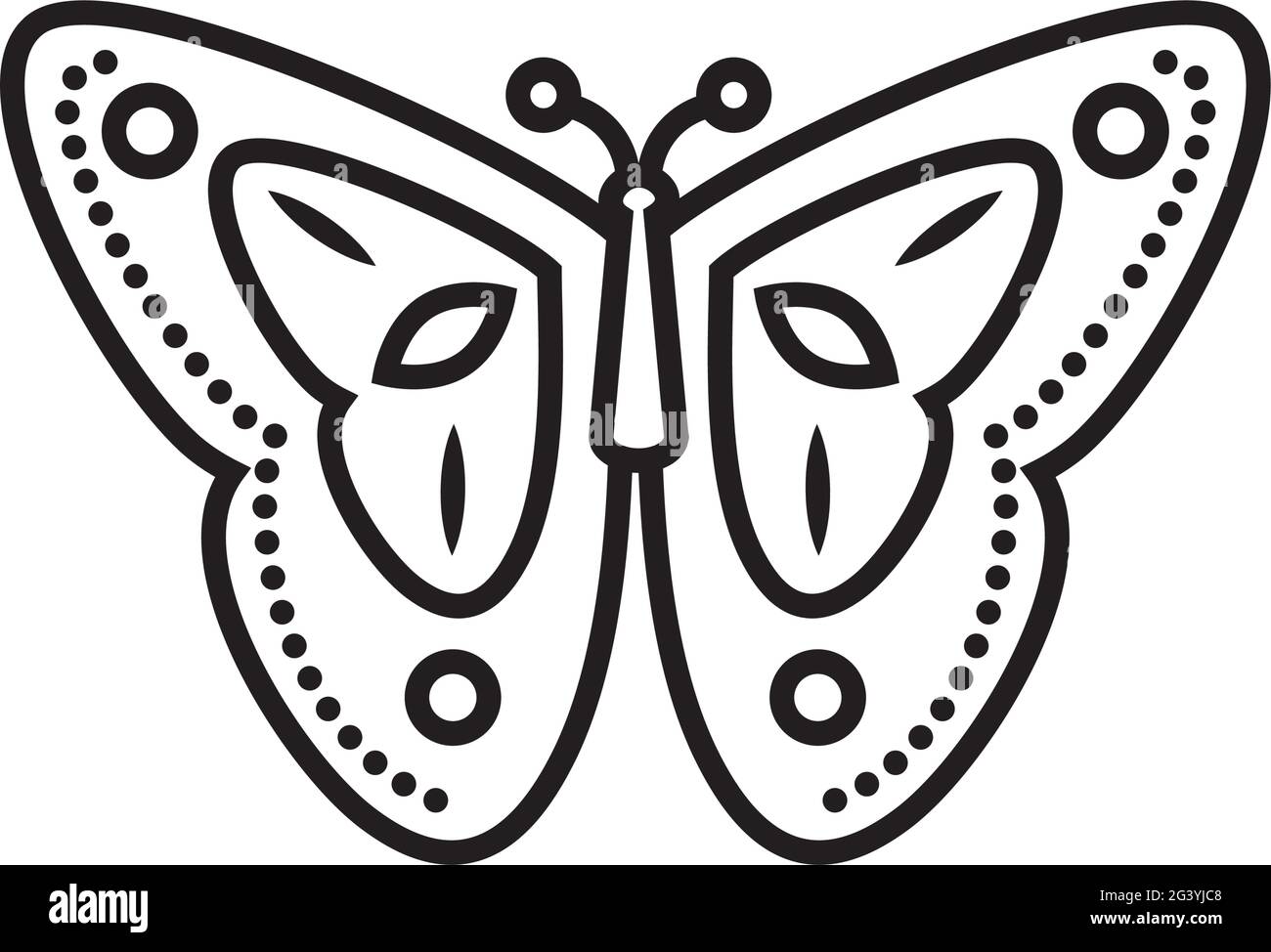 butterfly insect thin line Stock Vector Image & Art - Alamy