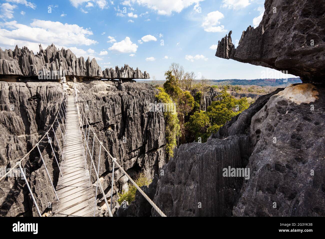 Suspension bridge in the karst landscape of Tsingy de Bemaraha, Tsingy ...
