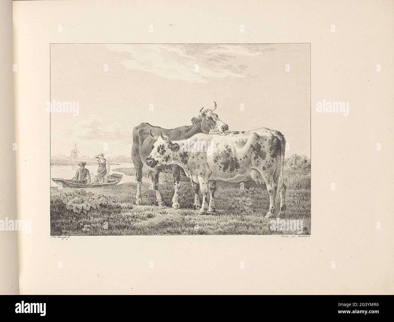 Two cows and two figures in a boat; Drawings to animals. A cow licks ...