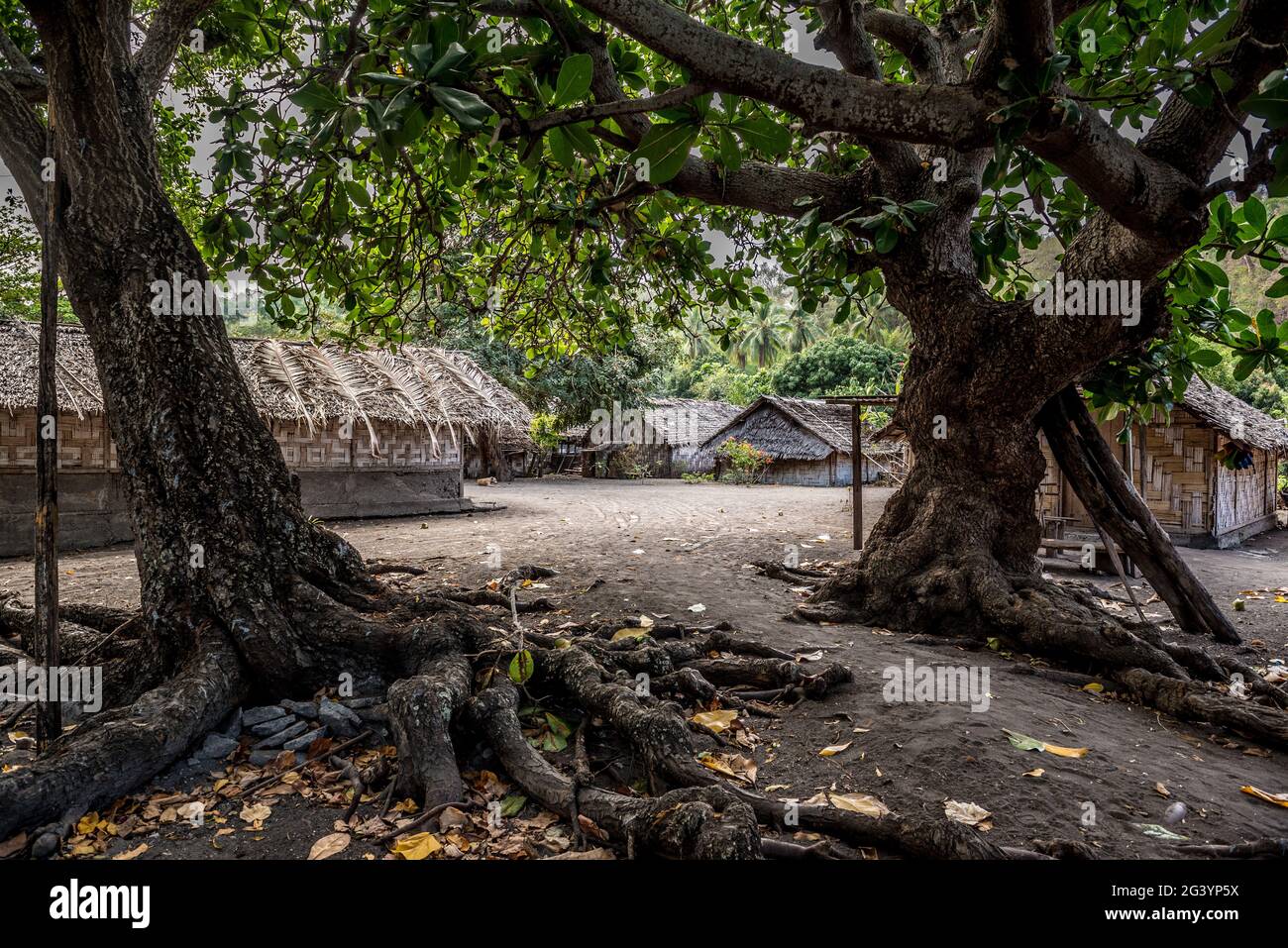 Traditional village with straw huts on Malekula, Vanuatu, South Pacific ...