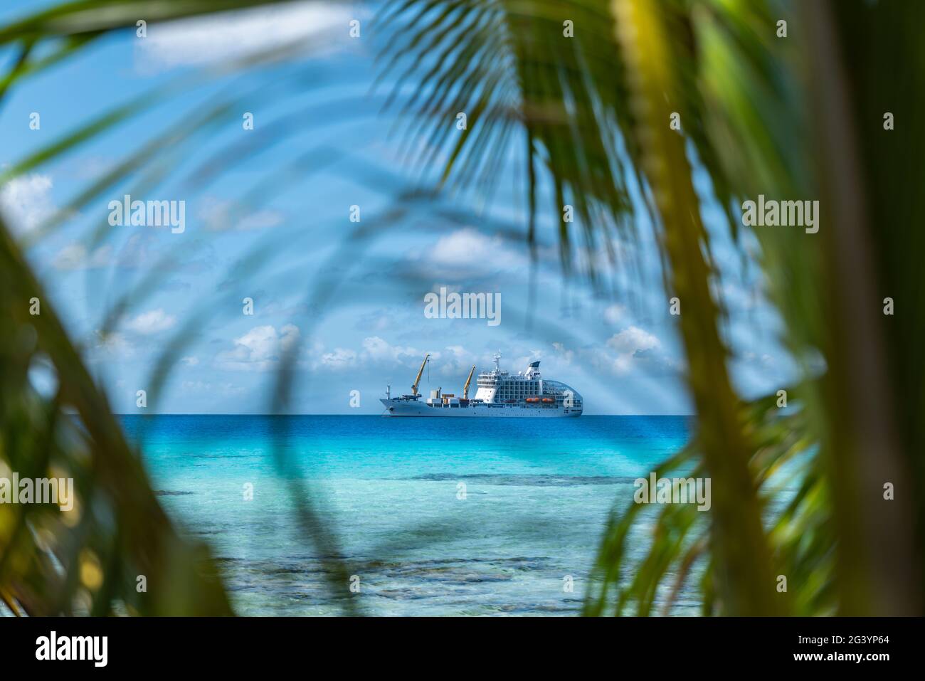 Palm fronds with passenger cargo ship Aranui 5 (Aranui Cruises) moored ...