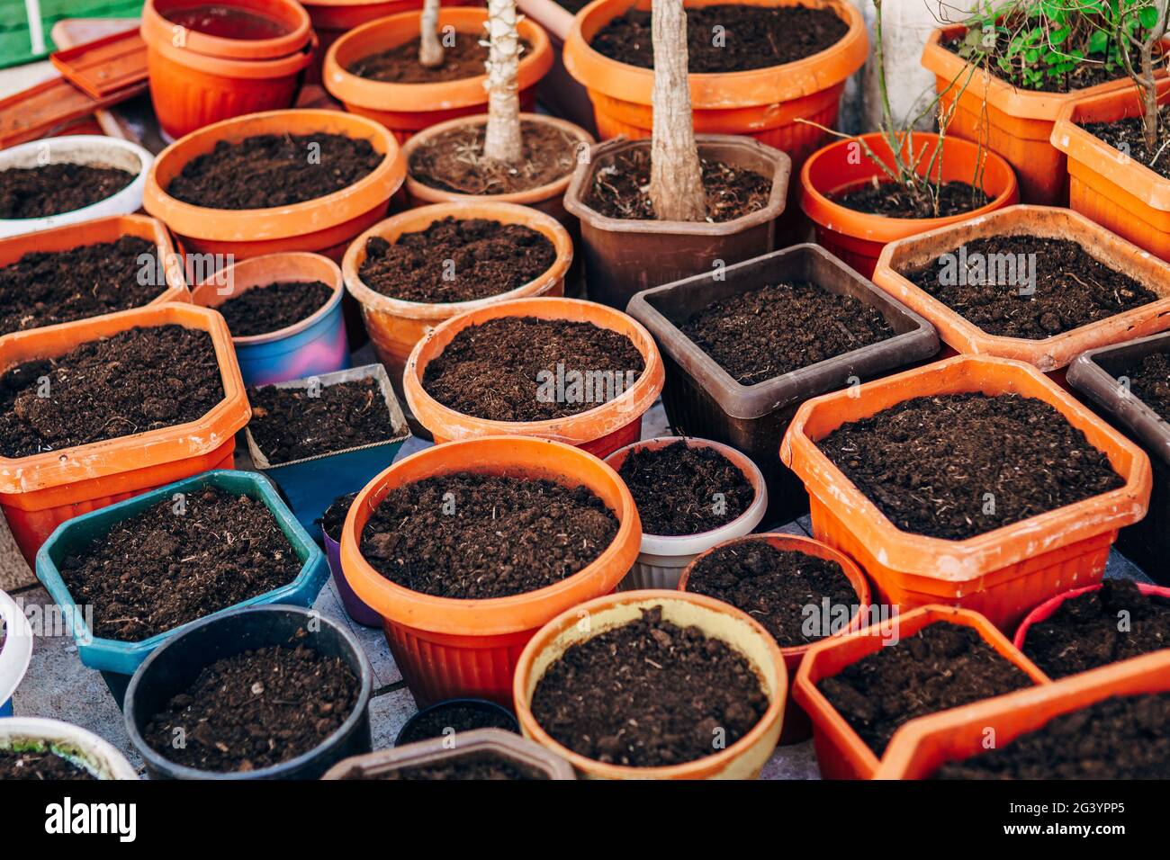 A lot of pots with earth. Brown flower pots with earth, stand next to ...