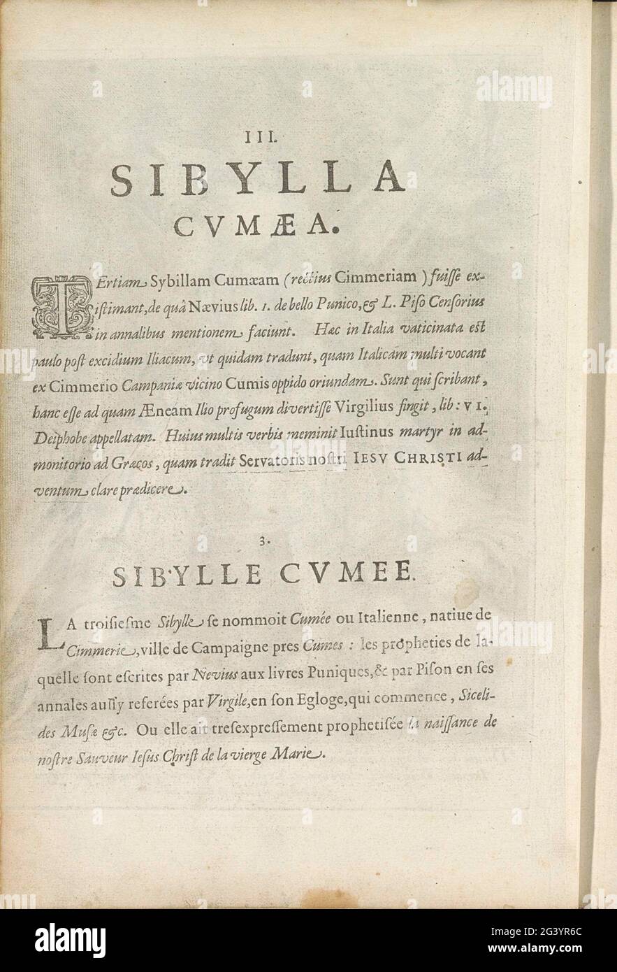 Cumaea High Resolution Stock Photography and Images - Alamy