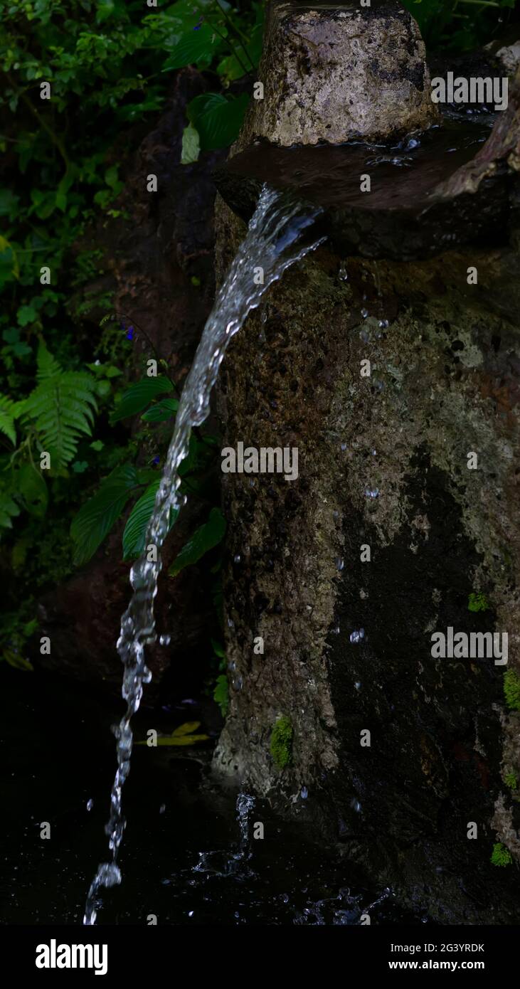 Water Varieties Sources