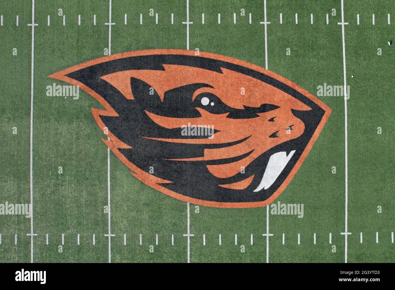 An aerial view of the Oregon State Beavers logo at the 50-yard line of ...