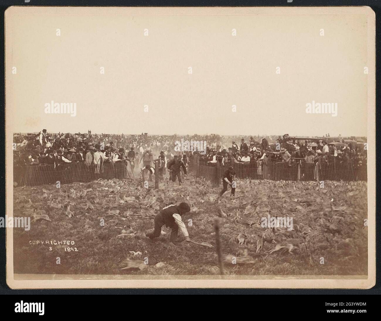 Rabbit hunting Stock Photo - Alamy