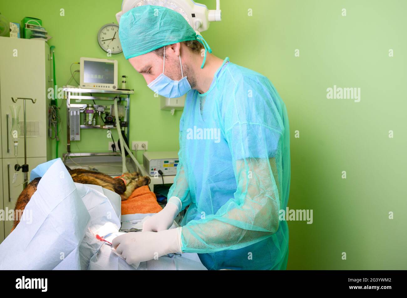 Pet surgery technology hi-res stock photography and images - Alamy