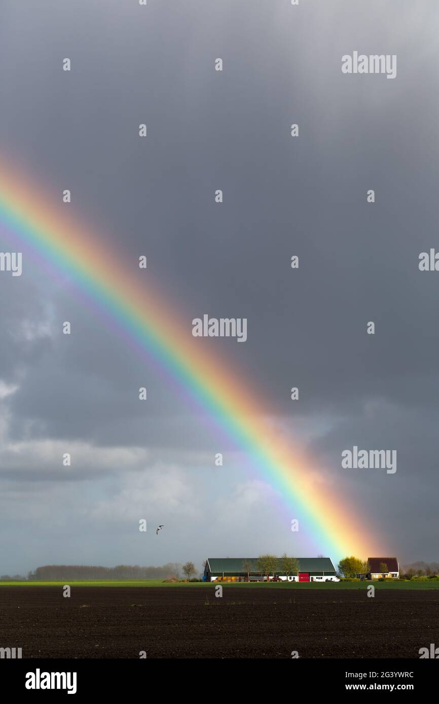 Gray rain hi-res stock photography and images - Alamy