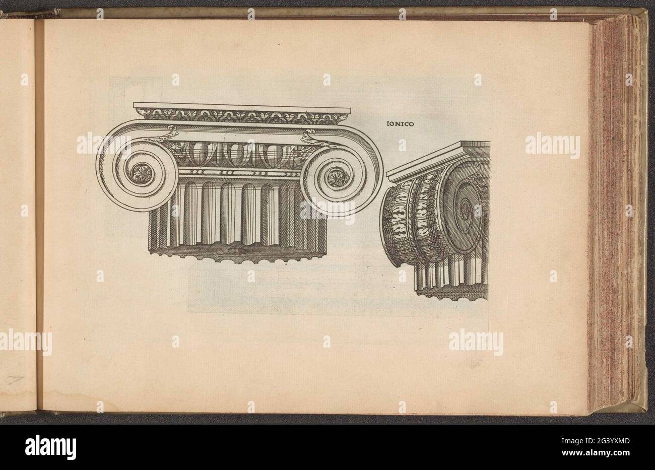 Capital of the ionic order; Ionico; Zuilen orders. Capital of the ionic ...