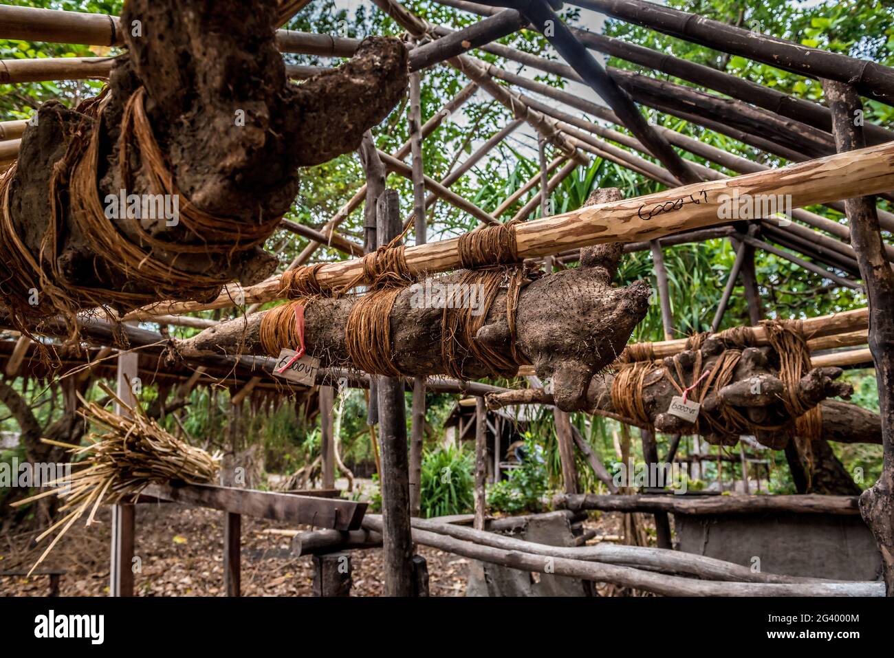 Yam on a market, Malekula, Vanuatu, South Pacific, Oceania Stock Photo ...