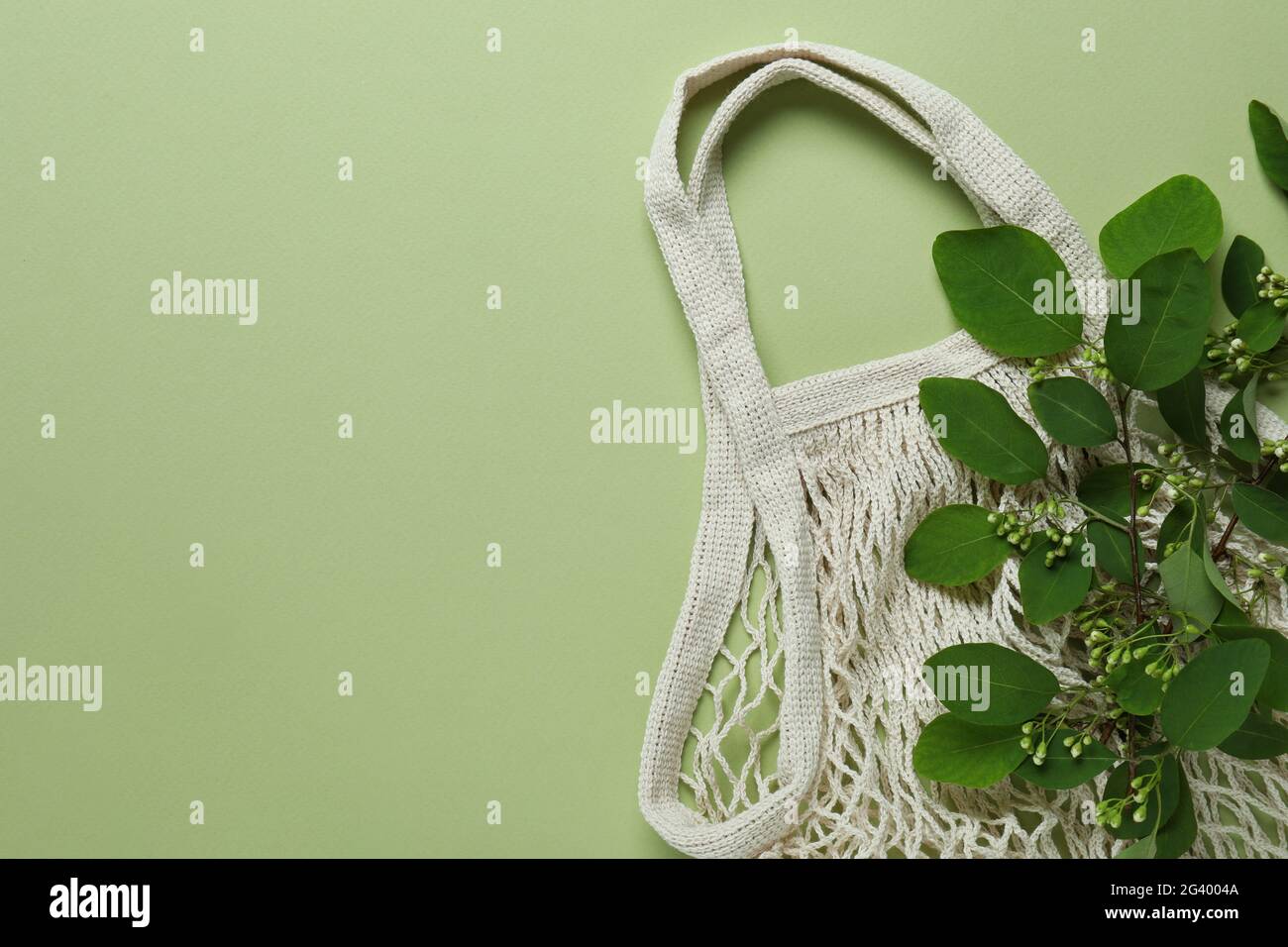 Eco friendly zero waste concept on green background Stock Photo - Alamy