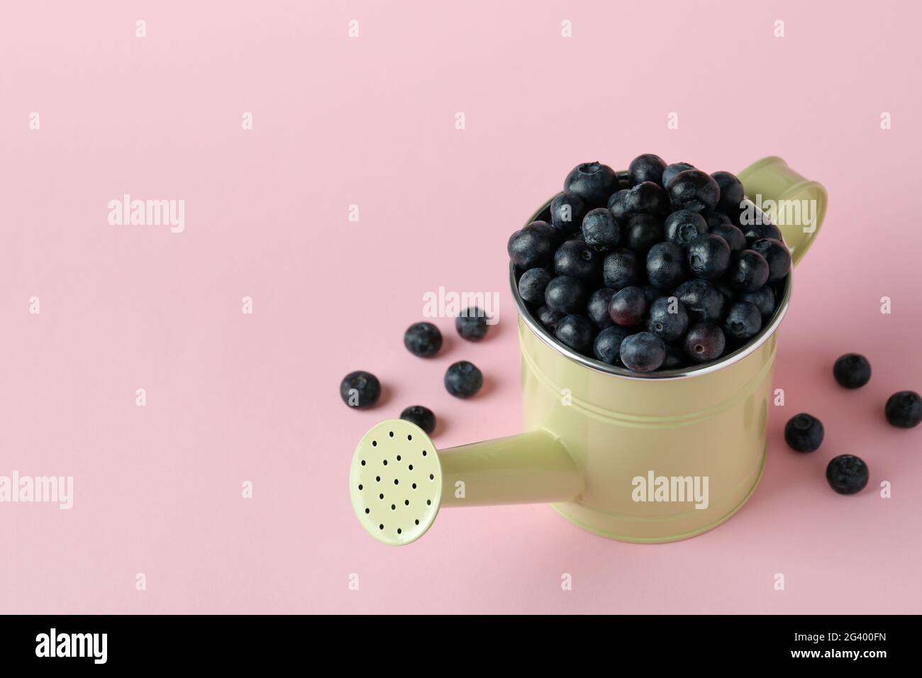 Fresh berry concept with blueberry on pink background Stock Photo - Alamy