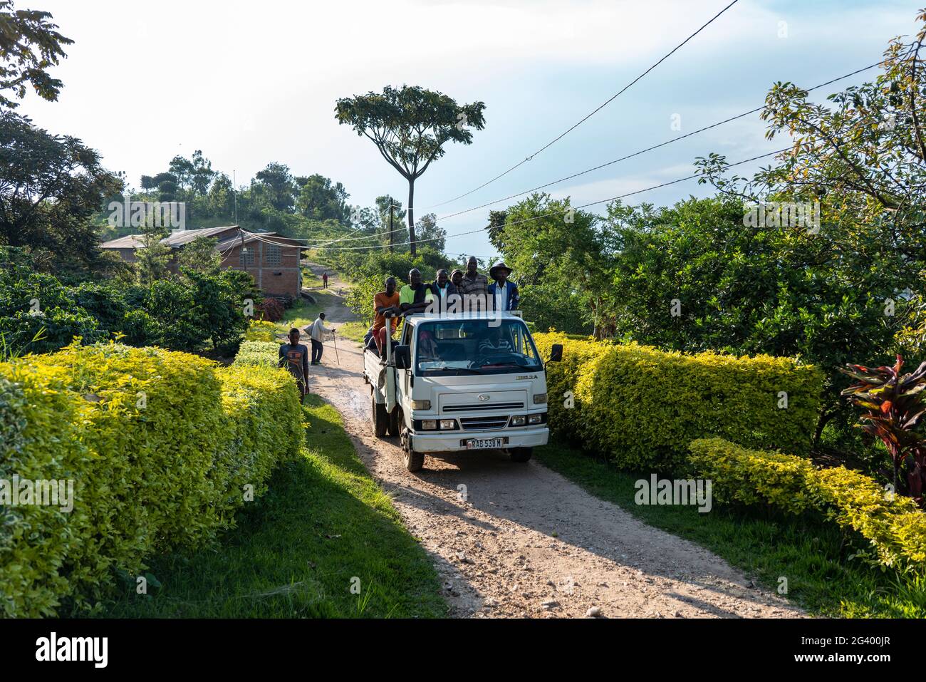 Workers from coffee plantation drive onto the back of a truck, Kinunu ...