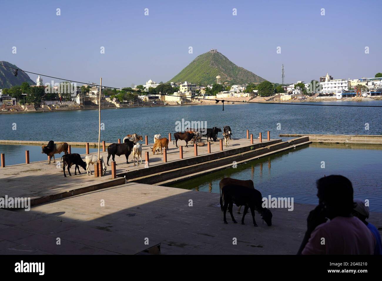 A view of holy lake of Pushkar, Rajasthan. Pushkar lake is an important ...