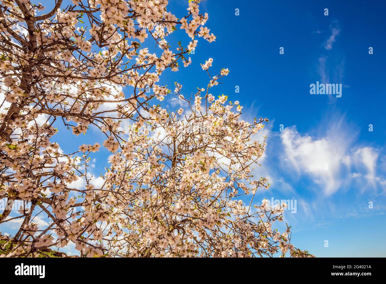 Gorgeous sunny and windy day Stock Photo - Alamy