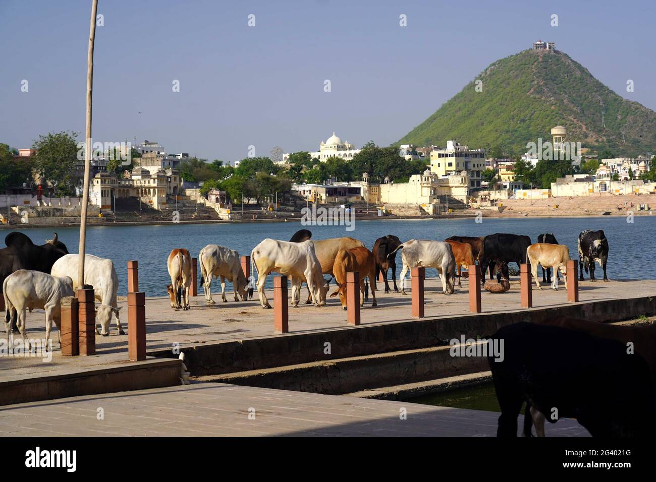 Important hindu pilgrimage spot hi-res stock photography and images - Alamy