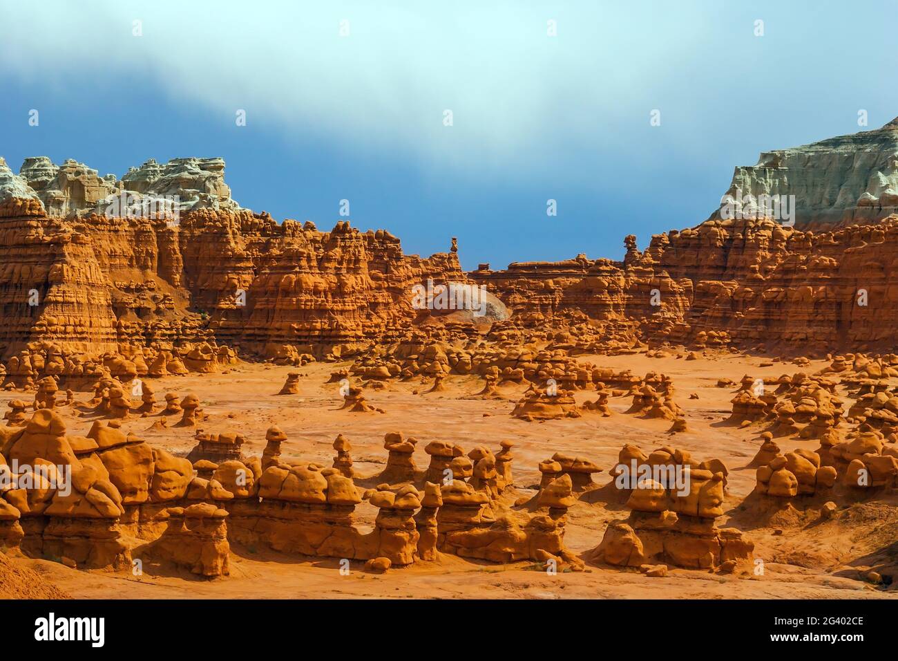 Desert mushrooms hi-res stock photography and images - Alamy