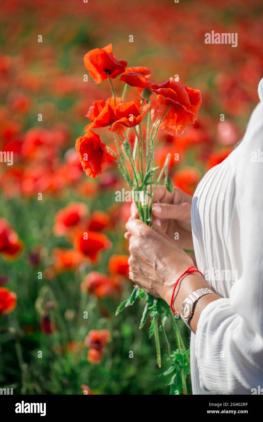Hand holding poppy hi-res stock photography and images - Alamy