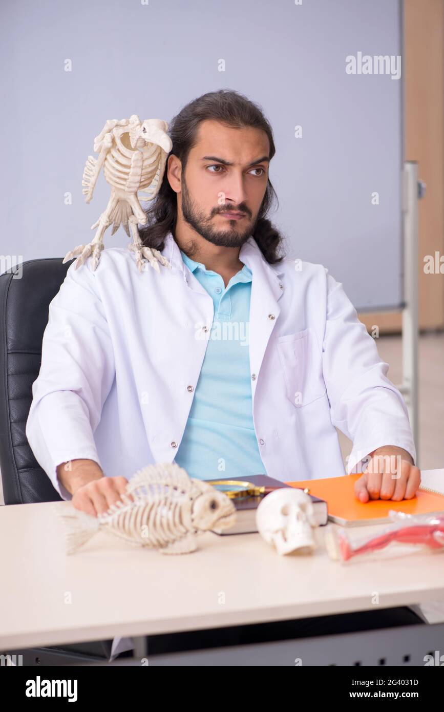 Young male zoologist examining bird skeleton Stock Photo - Alamy