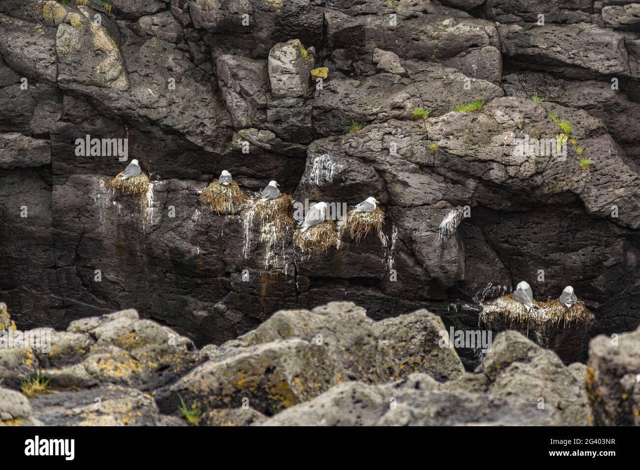 Hike from Arnarstapi to the Stone Bridge in the south of Iceland Stock ...