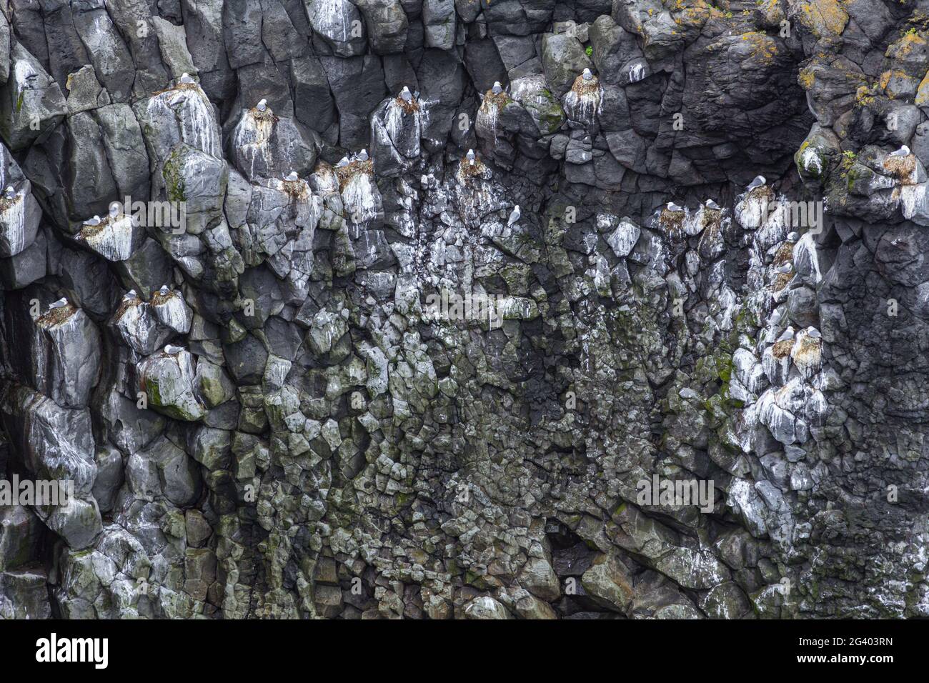 Hike from Arnarstapi to the Stone Bridge in the south of Iceland Stock ...