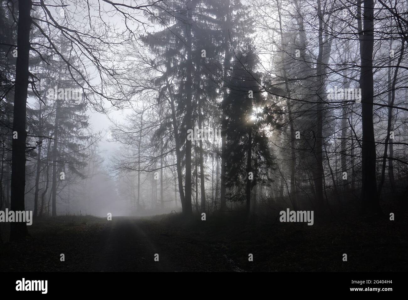 Foggy mood hi-res stock photography and images - Alamy