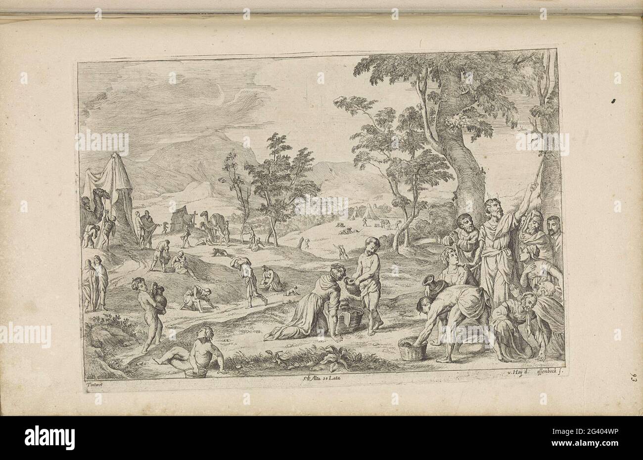 The story of moses the israelites gathering manna hi-res stock ...