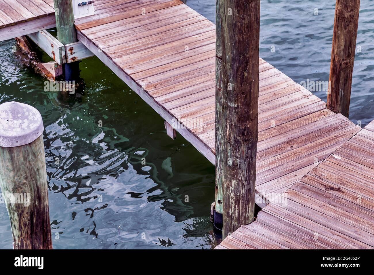 Wooden pilings on a dock in the river Stock Photo - Alamy