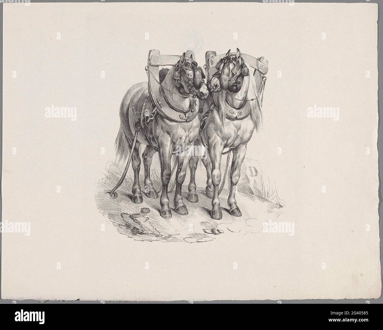 Two rigid horses; Six small animal studies; Six little animal studies ...