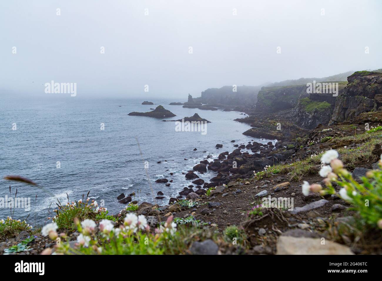 Hike from Arnarstapi to the Stone Bridge in the south of Iceland Stock ...