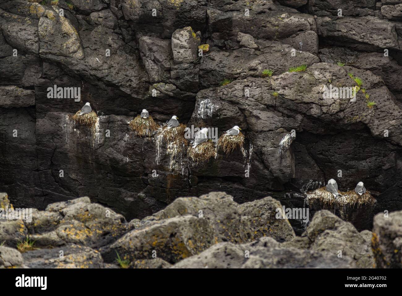 Hike from Arnarstapi to the Stone Bridge in the south of Iceland Stock ...