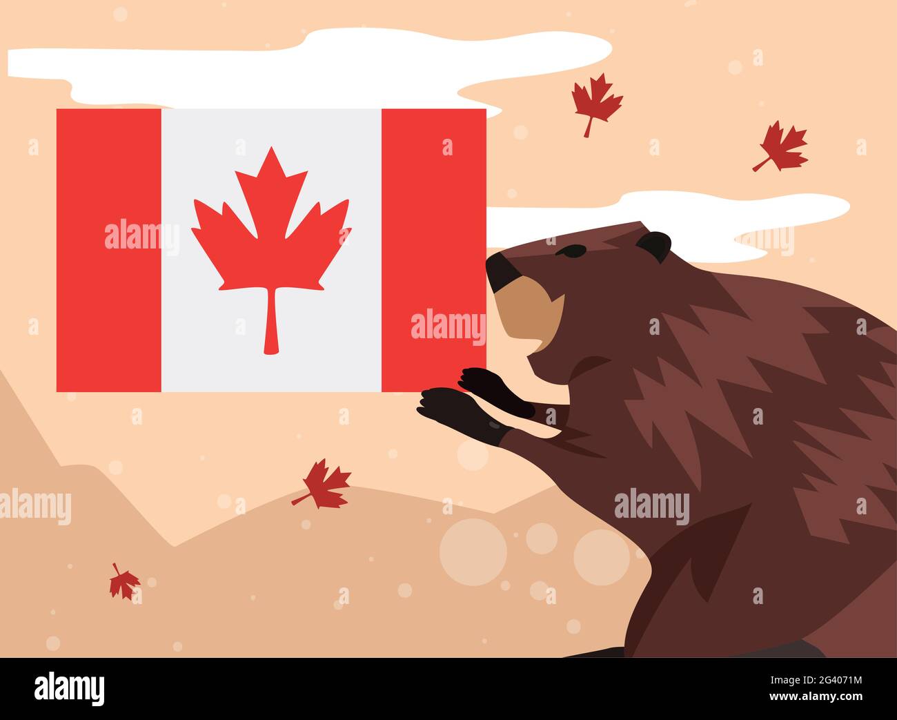 Canada day celebration beaver with flag Stock Vector Image & Art - Alamy