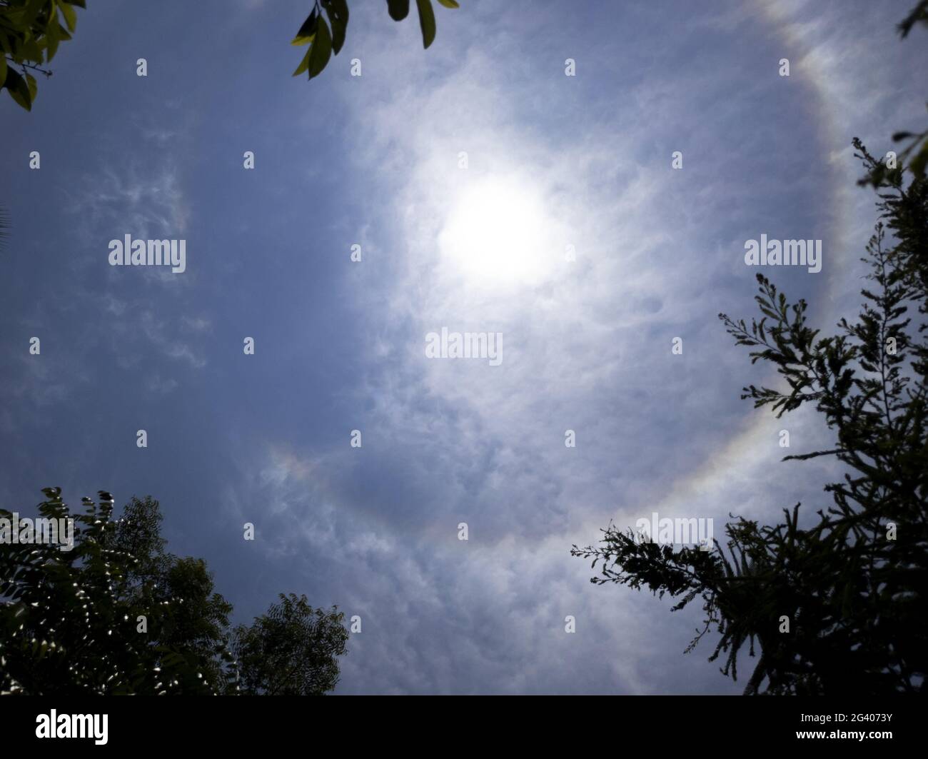 Low angle shot of the sun shining down on the camera in a bright blue ...