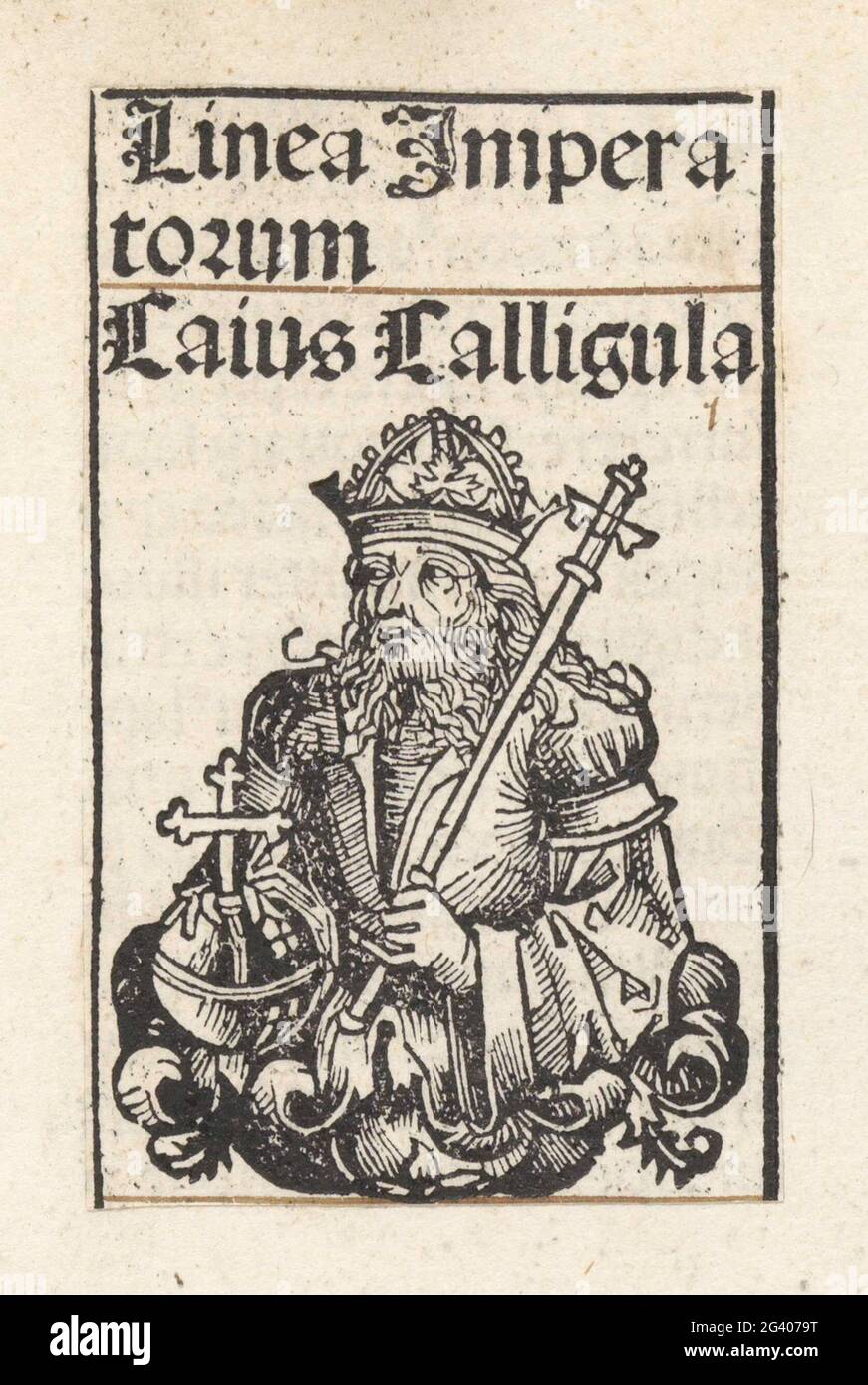 Emperor Caligula; Caius Calligula; Liber chronicarum. Flower celk with ...