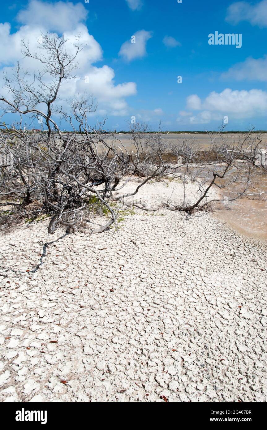 The dry landscape and a brown color lagoon on Grand Turk island (Turks ...