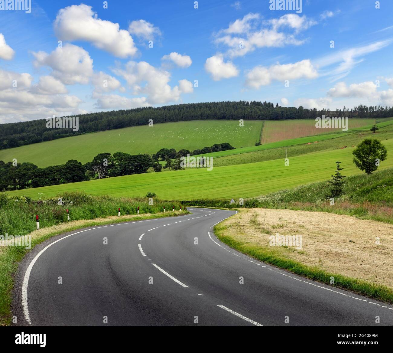 Curved asphalt road Stock Photo - Alamy